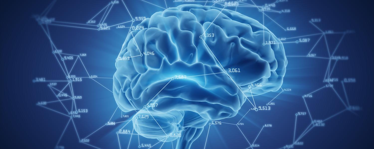 BMH Computational Neuroscience Platform | Hotchkiss Brain Institute ...
