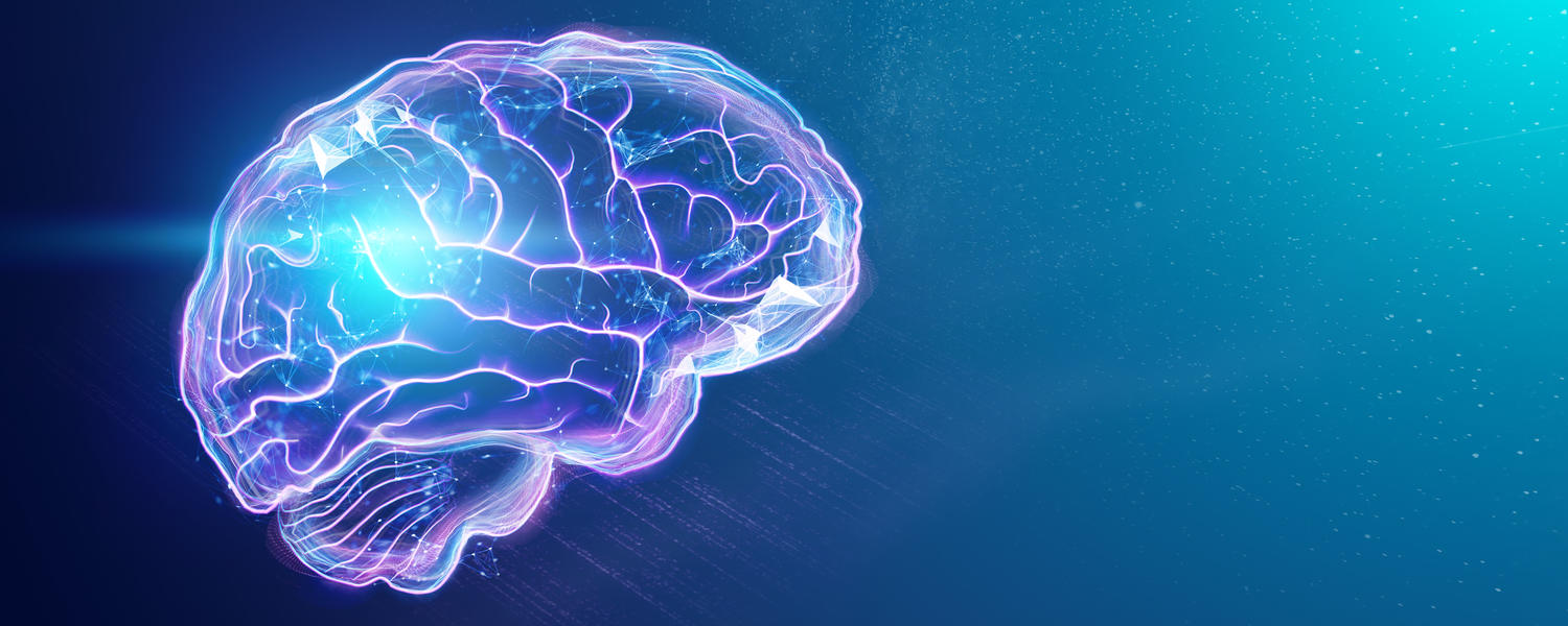 Neurodevelopment | Hotchkiss Brain Institute | University of Calgary